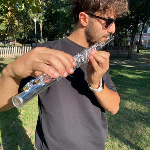 Professional Silver-plated C Side Flute | Wind Musical Instrument ...