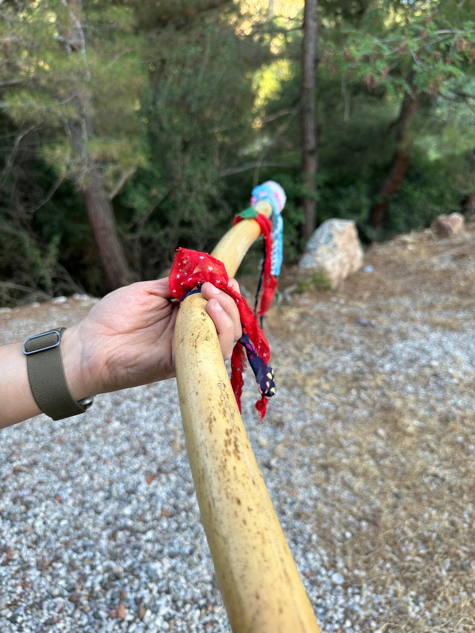 Traditional Shamanic Bamboo Rain Stick Ritual and Meditation Tool ...