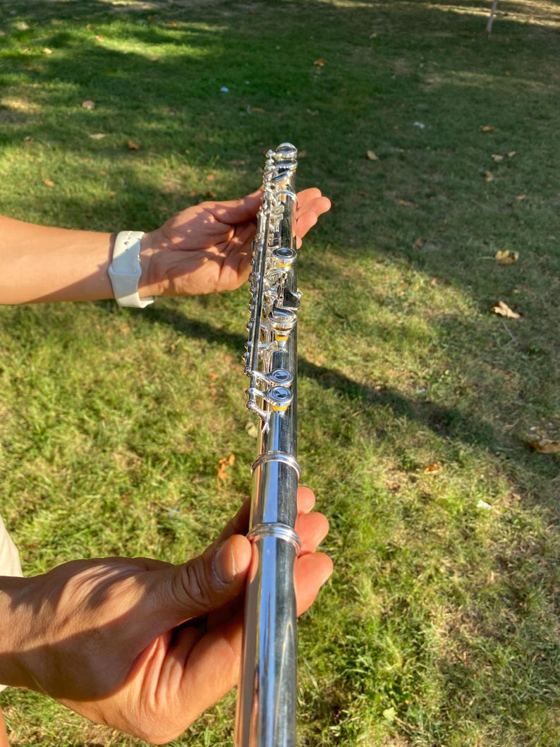 Professional Silver-plated C Side Flute | Wind Musical Instrument ...