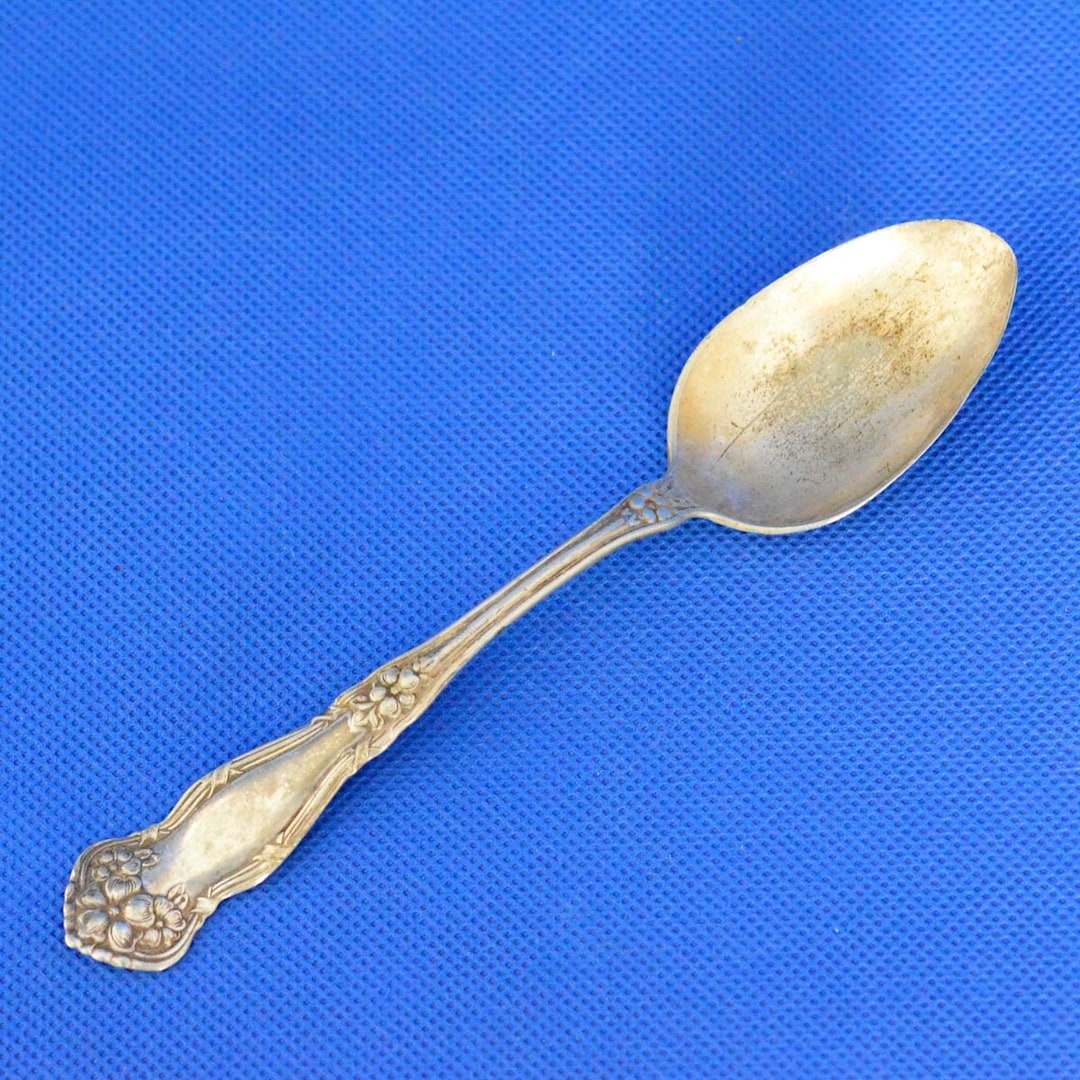 Arbutus Silver Plated Tea Spoon by Wm. Rogers & Son, International ...