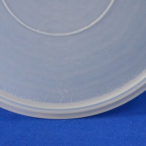 White Tupperware Party Susan Divided Veggie Serving Dish/tray 405 With ...