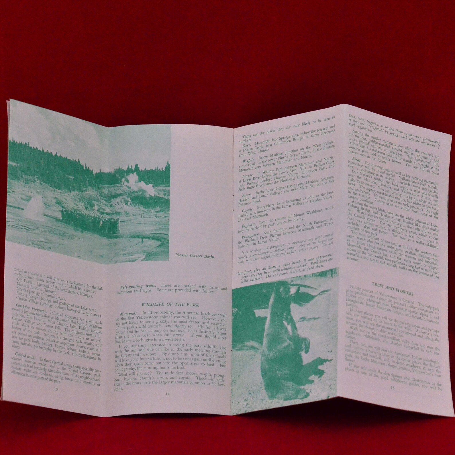 Yellowstone Park Travel Brochure & Map C. 1961 US Department - Etsy