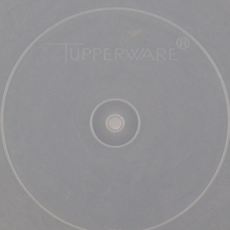 Opaque Tupperware Party Susan Divided Veggie/relish Serving Dish/tray ...