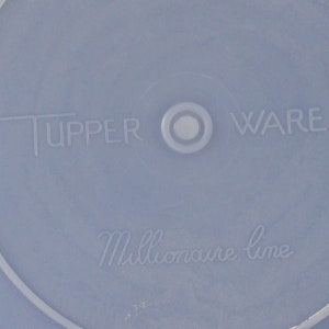 White Tupperware Party Susan Divided Veggie Serving Dish/tray 405 With ...