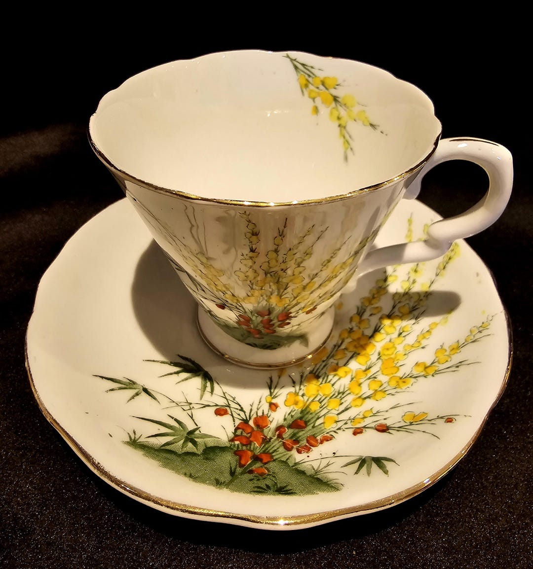 Vintage Royal Stafford Bone China Broom Collection Tea Cup & Saucer ...