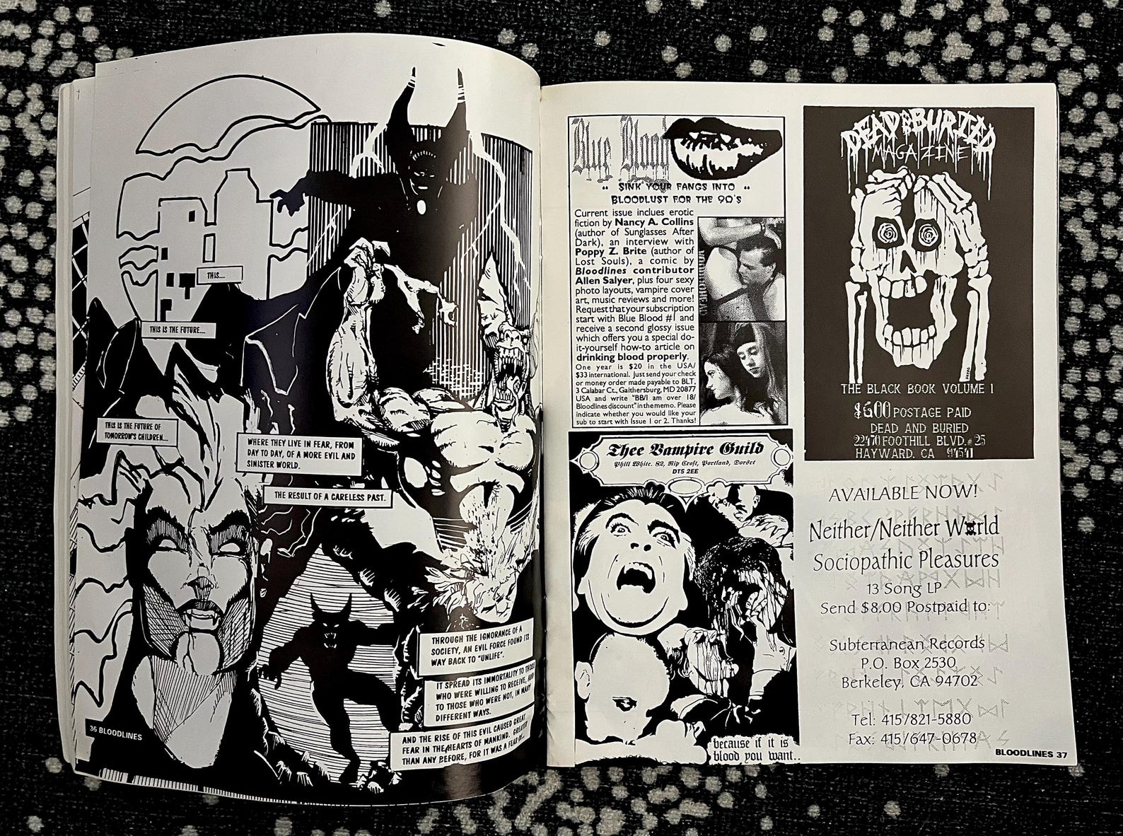 VERY RARE** Bloodlines: the Vampire Fanzine Volume #2 Issue #6 - Oct ...