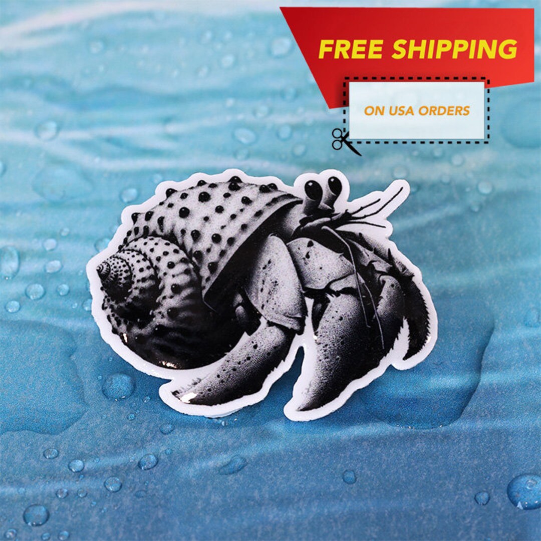 Hermit Crab Acrylic Pin Ocean-themed Marine Life Accessory, Unique ...