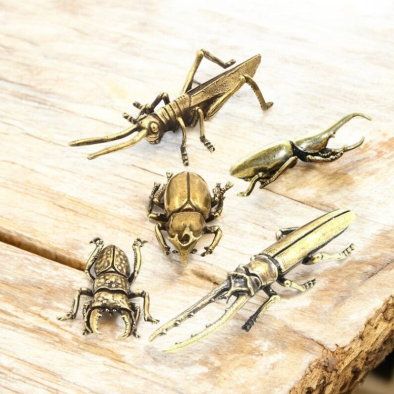 Insect - Etsy