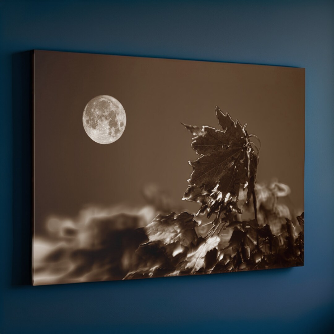 Mystical Moon Among Trees Canvas Art Perfect Wall Decor - Etsy