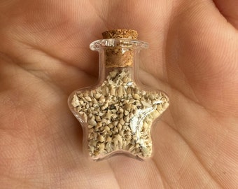 RARE Okinawa Star Sand Jar, Star Shaped Sand, Japan Beach Sand, Sun ...