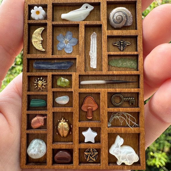 Curiosity Cabinet - Etsy