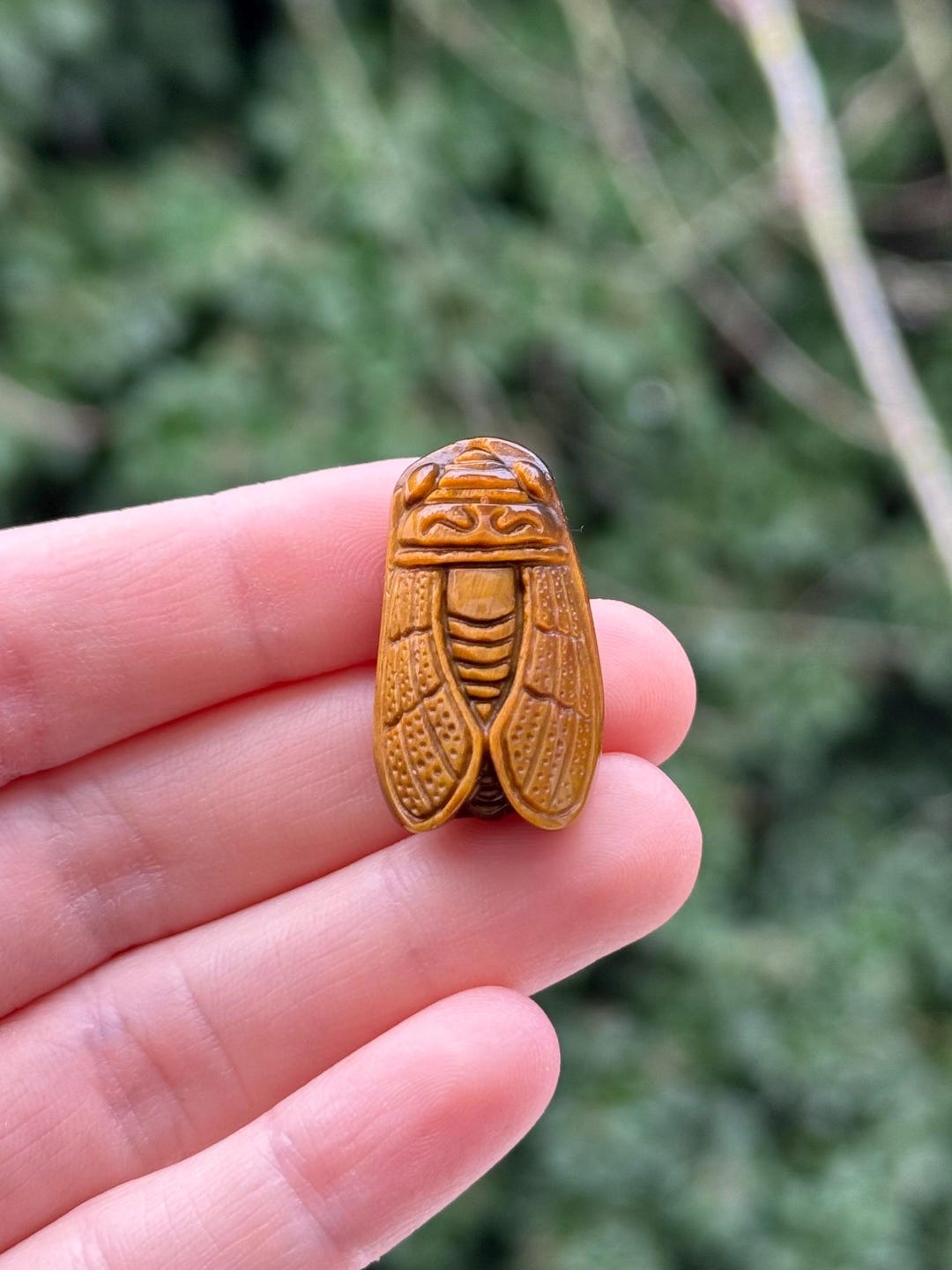 Tiger’s Eye Cicada – Gemstone Carving - Etsy
