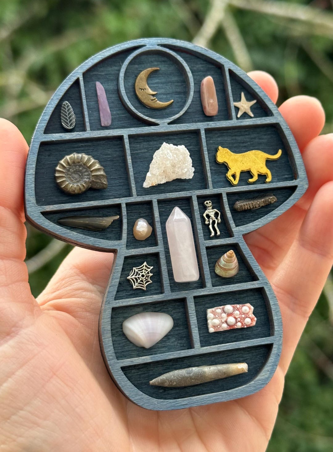 Mushroom Mini Curio Shelf - Etsy