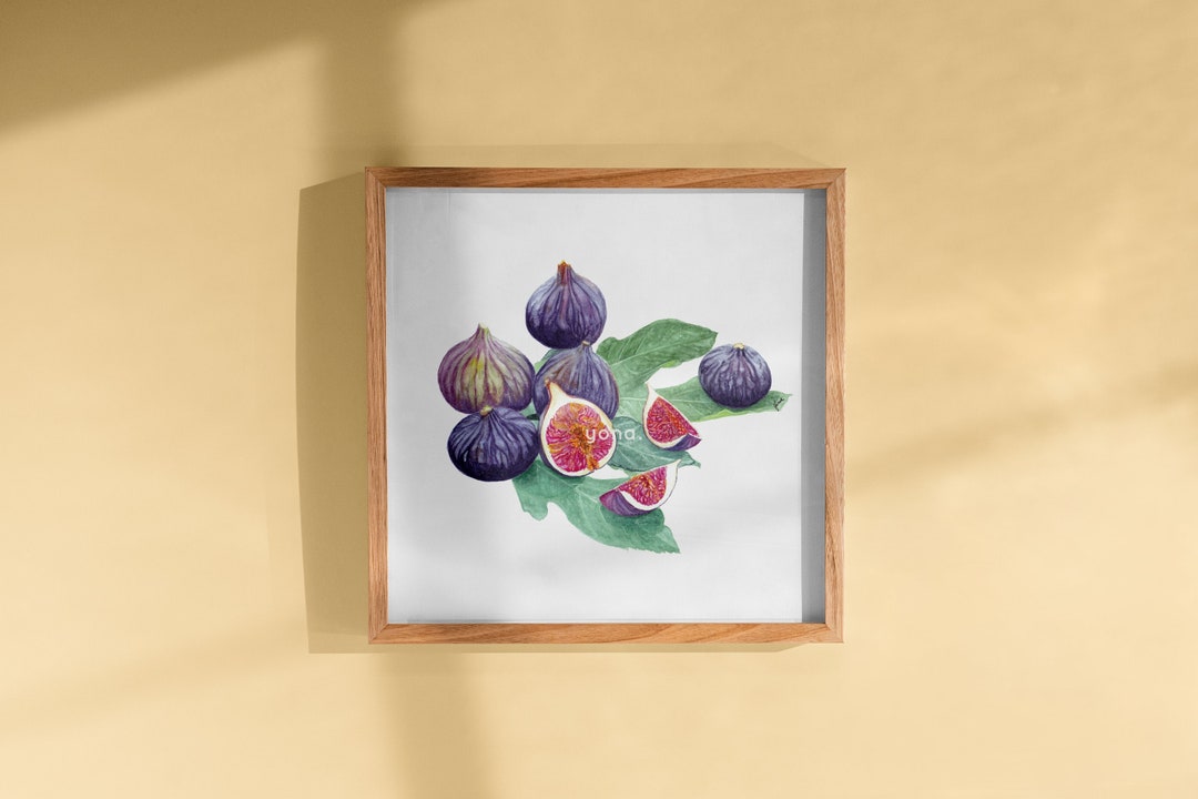 Figs Art Print From Original Watercolor, Botanical Painting, Fruit Art ...