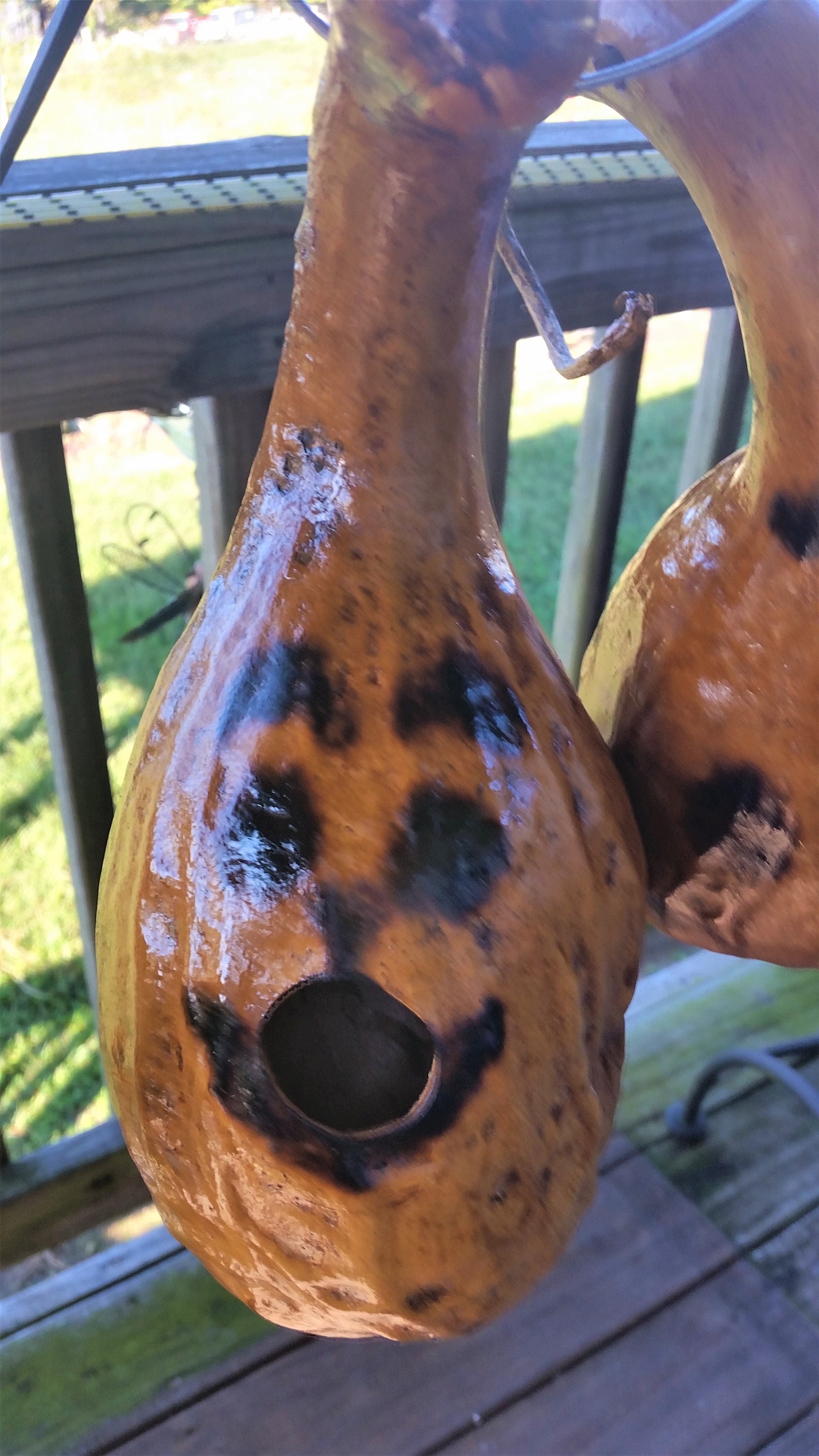 Small Duo Scorched and Stained Faces: Gourd Birdhouses - Etsy