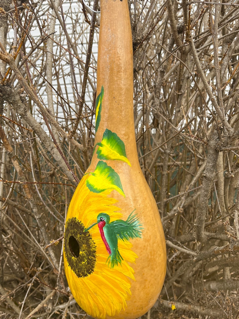 Mammoth Sunflower/hummingbird: Huge Handpainted Gourd Bird House - Etsy