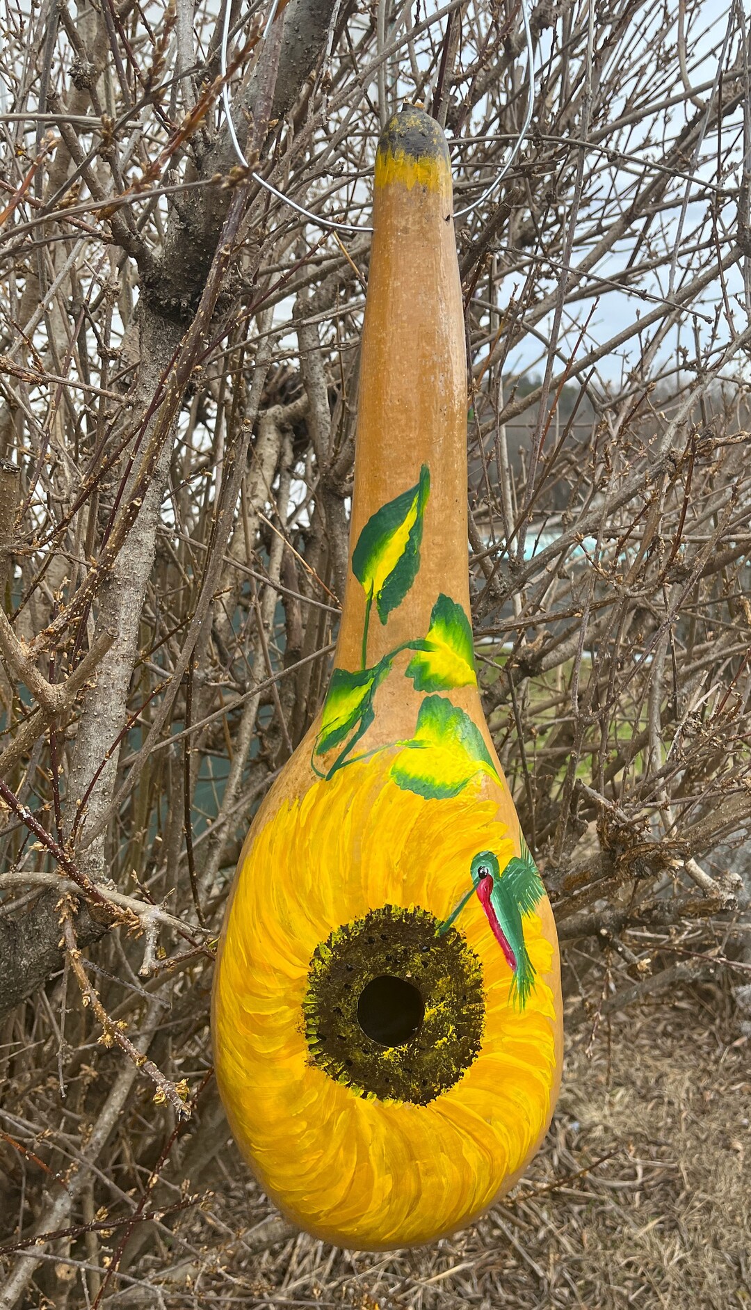 Mammoth Sunflower/hummingbird: Huge Handpainted Gourd Bird House - Etsy