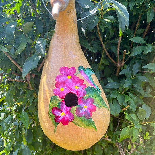 Hummingbird Gourd - Etsy