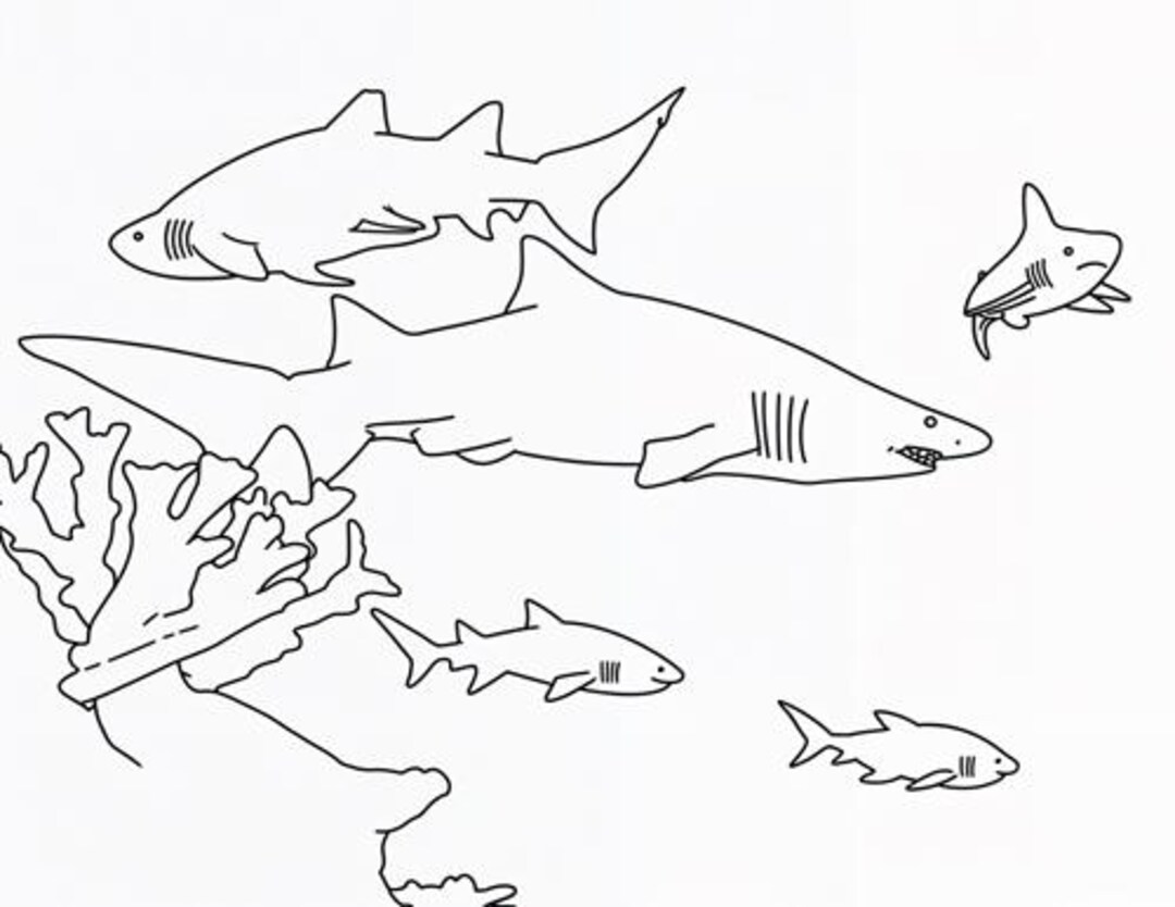 Shark 1 Printable Coloring Page (8.5 X 11) - Etsy