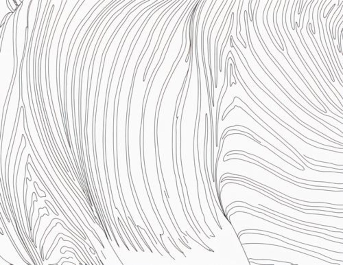 Zebra 1 Printable Coloring Page (8.5 X 11) - Etsy