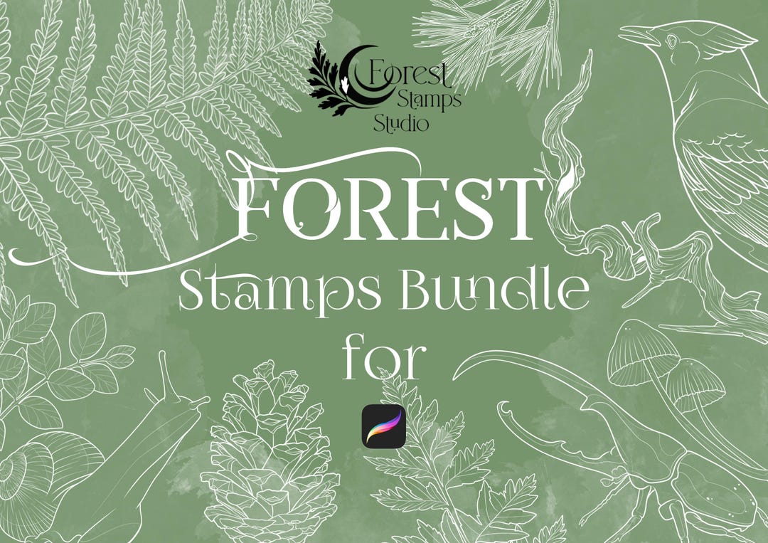 60 Forest Theme Stamps for Procreate Brushes Fern Mashrooms Animals ...