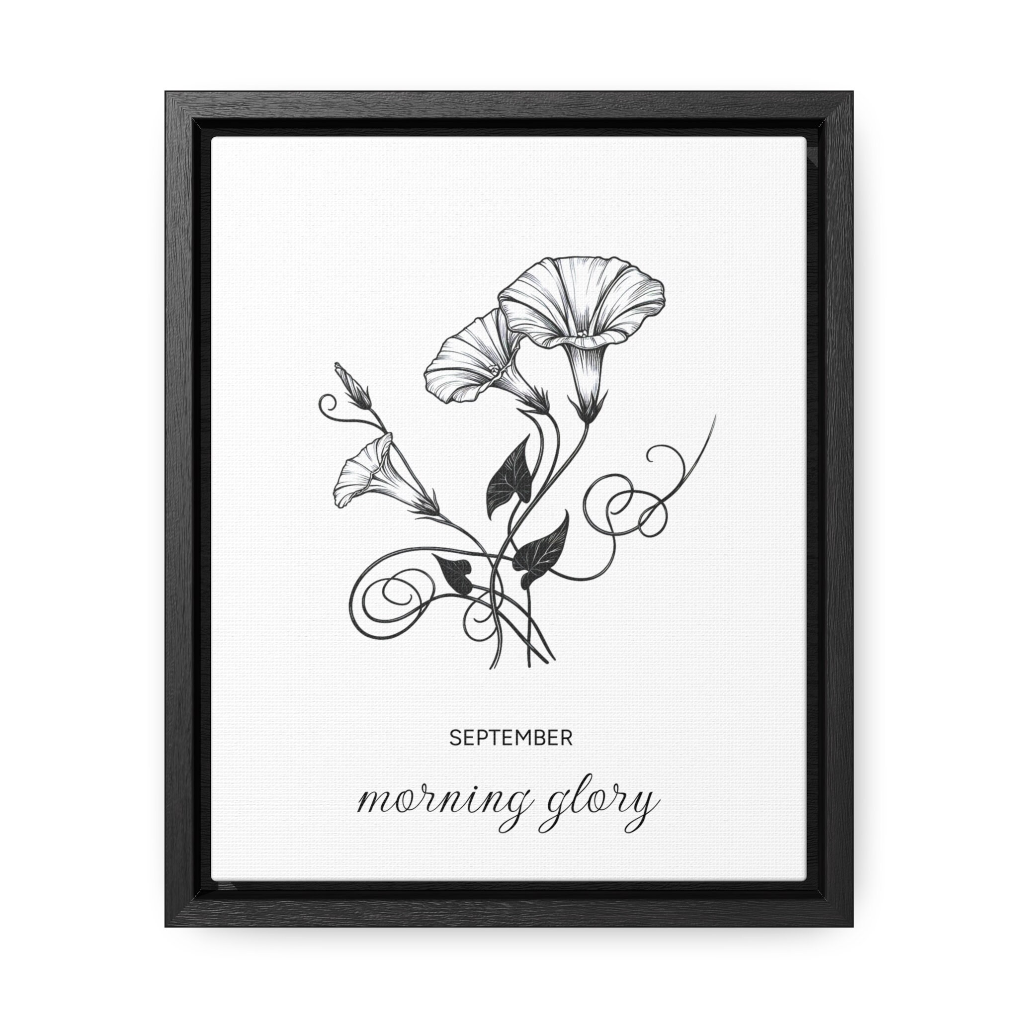 September Morning Glory Birth Flower Framed - Etsy