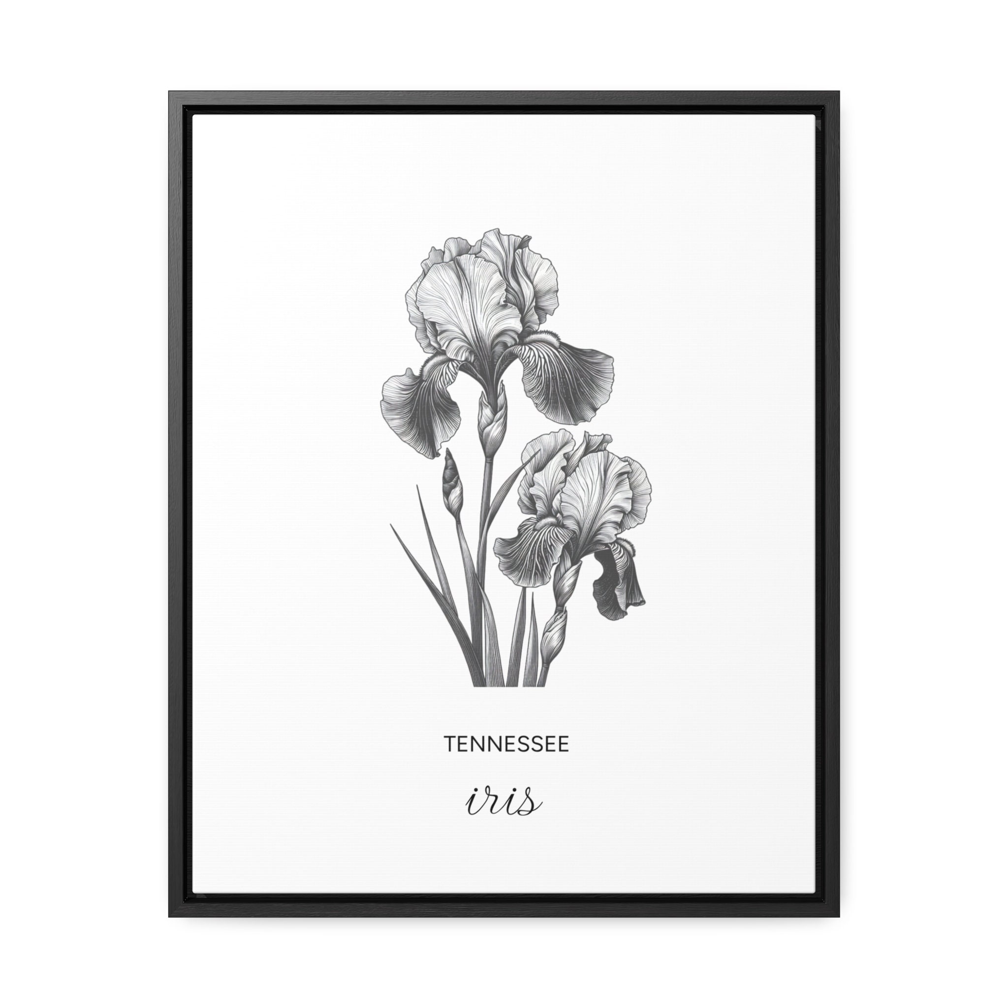 Tennessee Iris State Flower Canvas Framed - Etsy