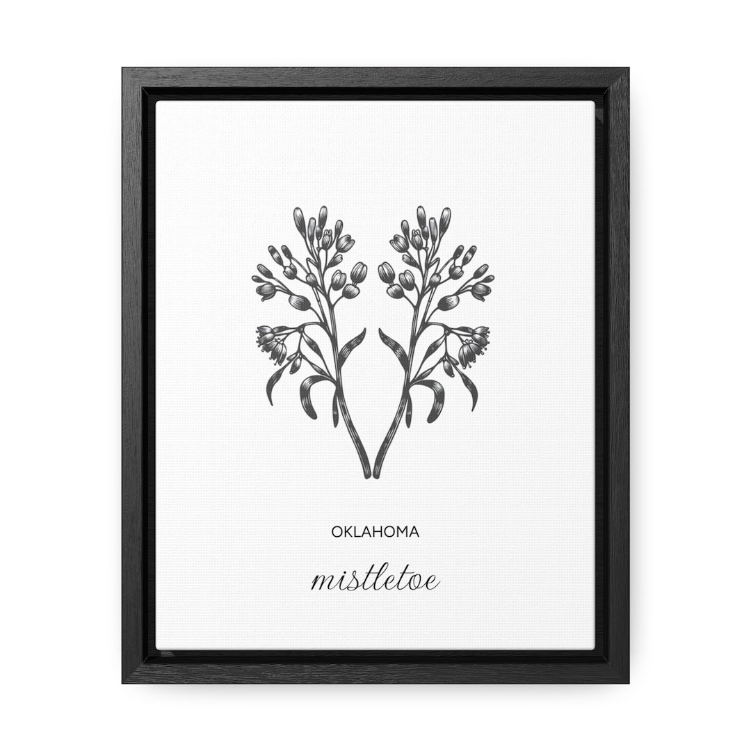 Oklahoma Mistletoe State Flower Canvas Framed - Etsy