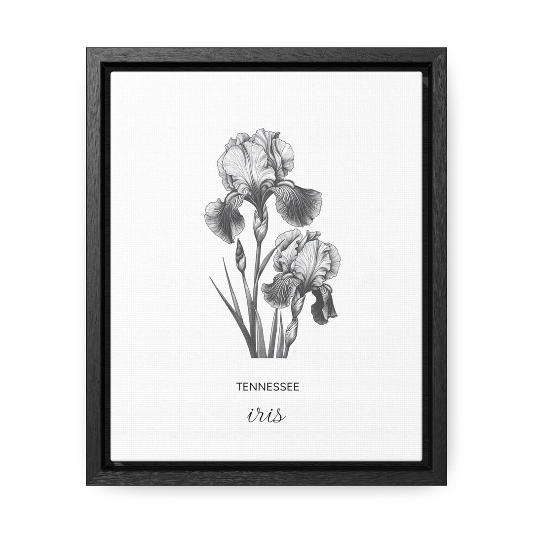 Tennessee Iris State Flower Canvas Framed - Etsy