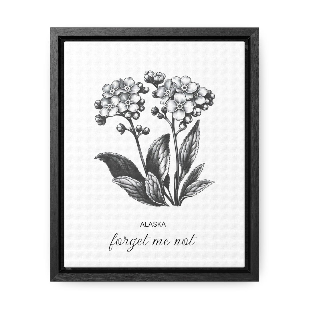 Alaska Forget Me Not State Flower Canvas Framed - Etsy