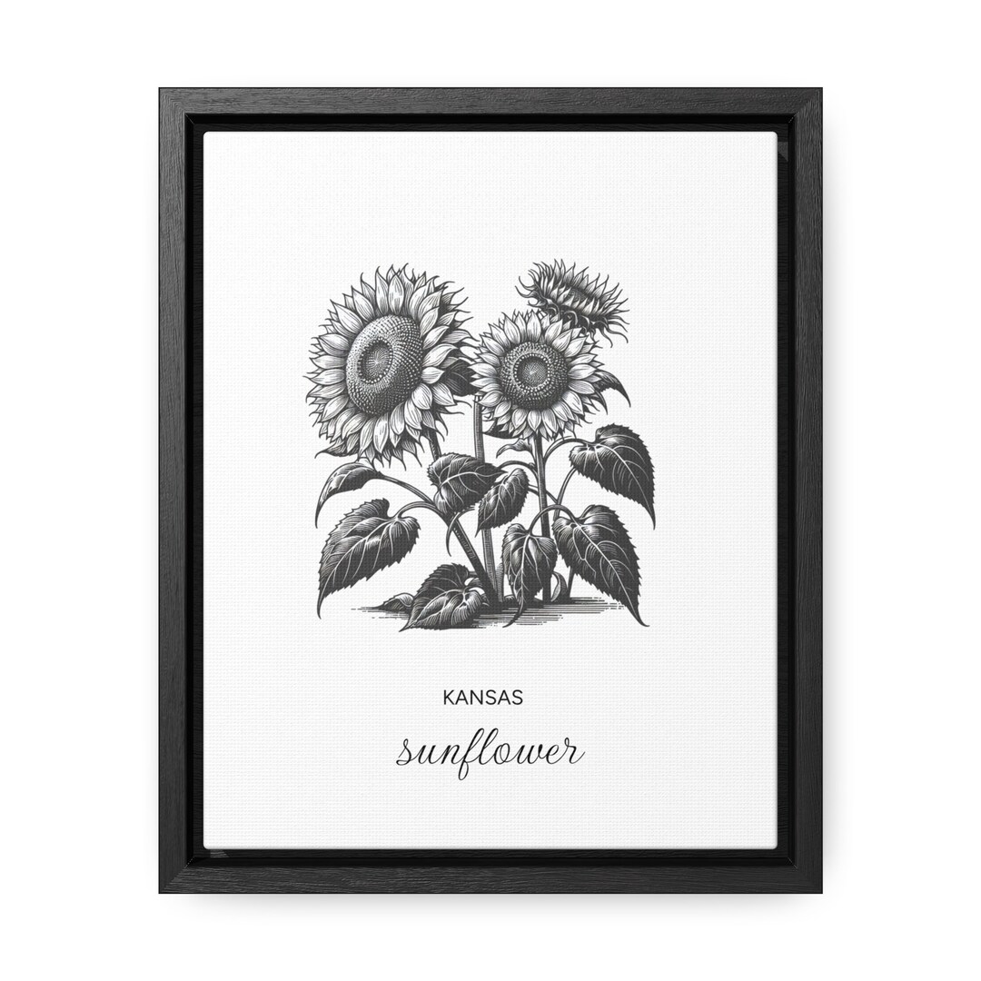 Kansas Sunflower State Flower Canvas Framed - Etsy