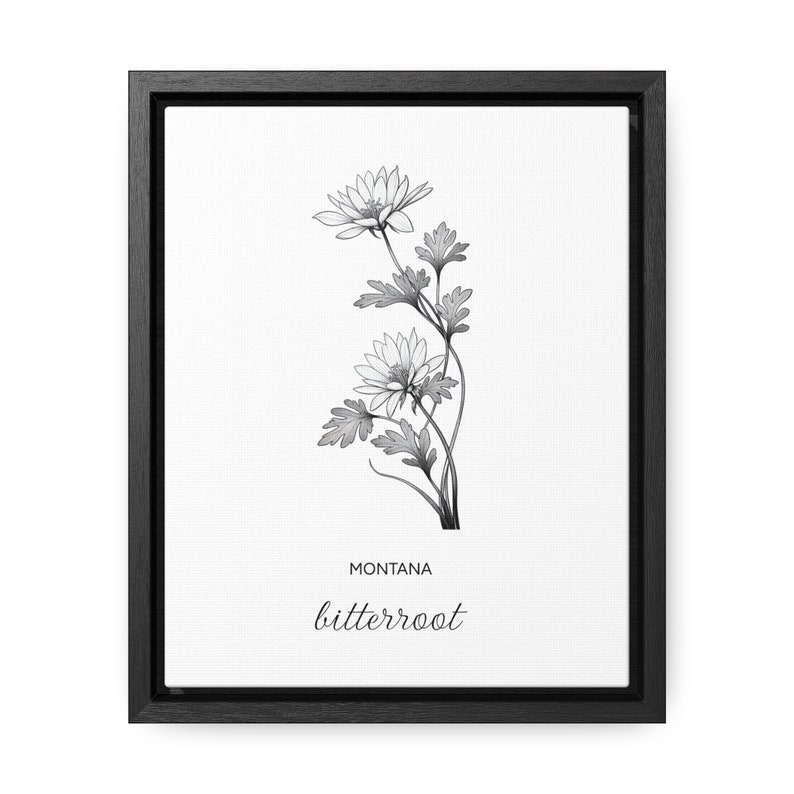 Montana Bitterroot State Flower Canvas Framed - Etsy