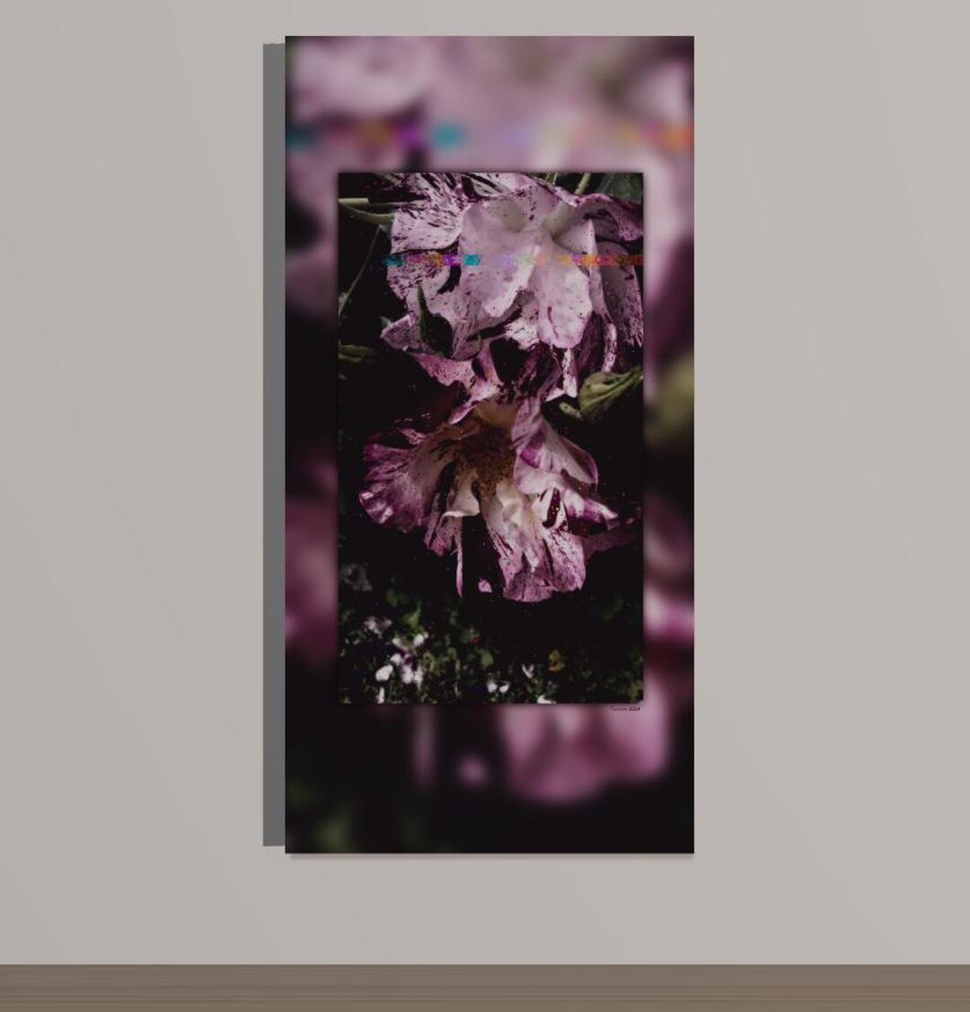 Falling ~ Self-designed Photography - Plexiglas - Etsy