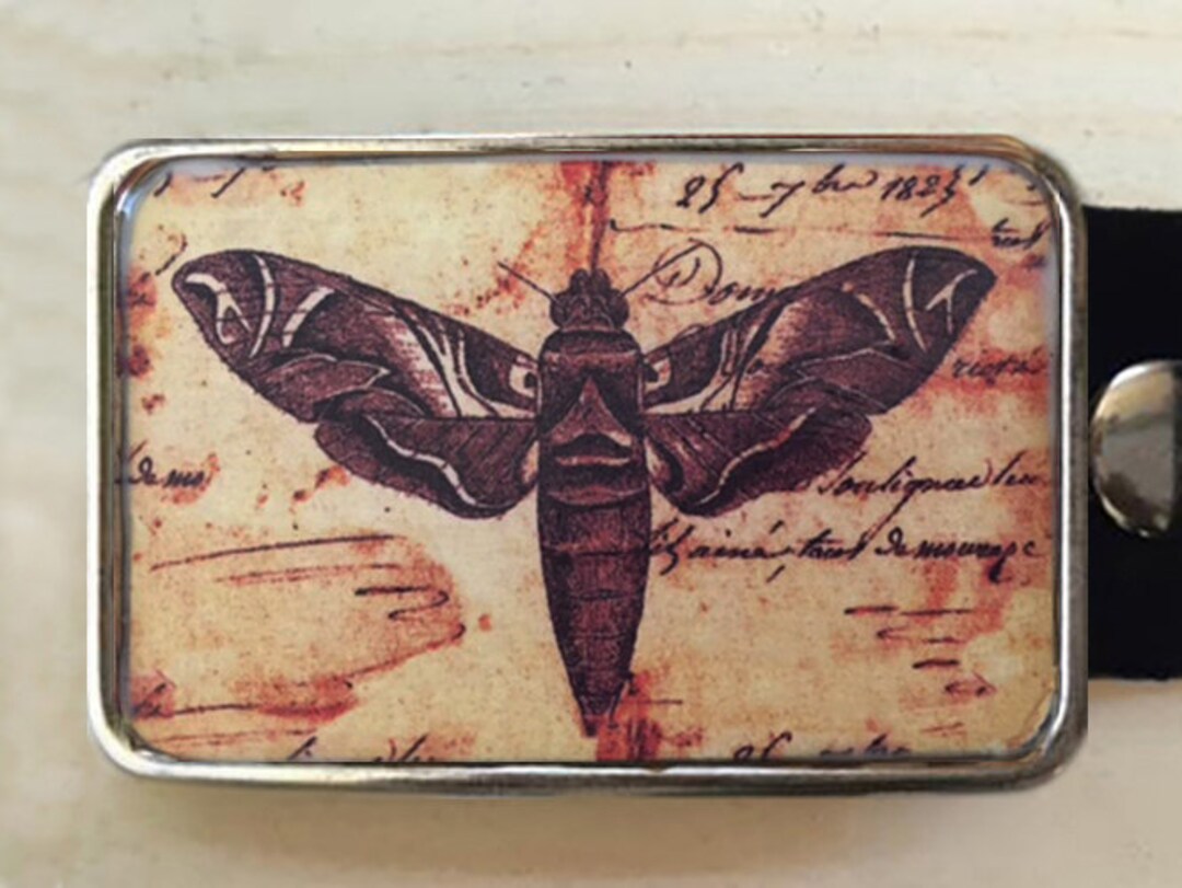 Insect Belt Buckle. Moth Belt Buckle. Insect Art. Man Belt - Etsy