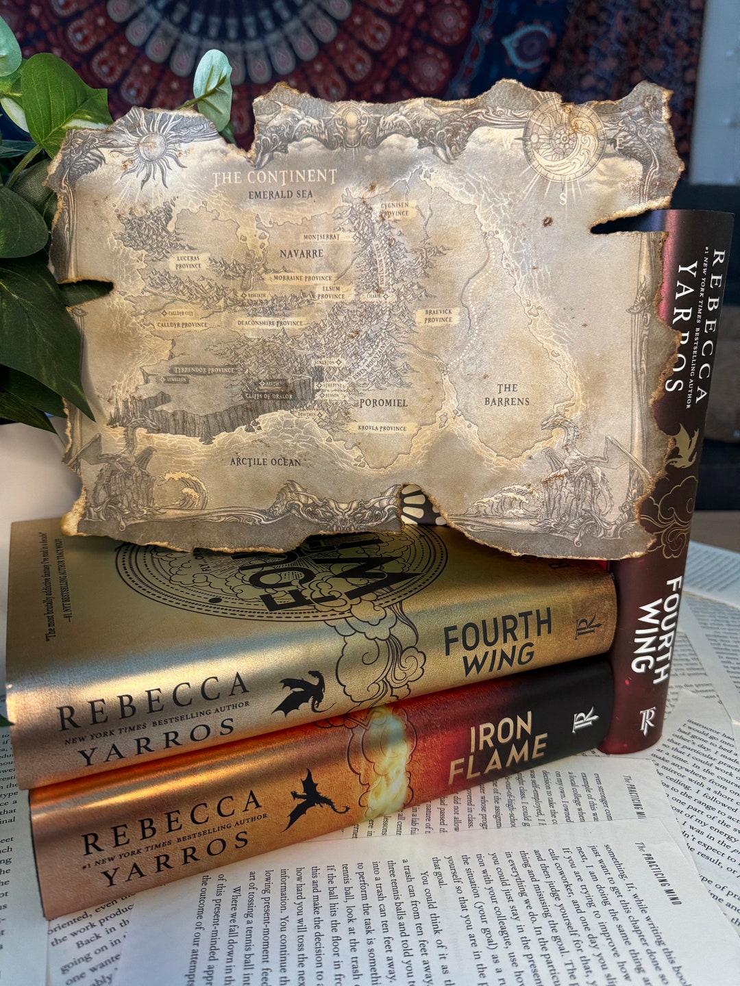 Fourth Wing / Iron Flame Map of Navarre - Coffee Stained - 8x10in - Etsy