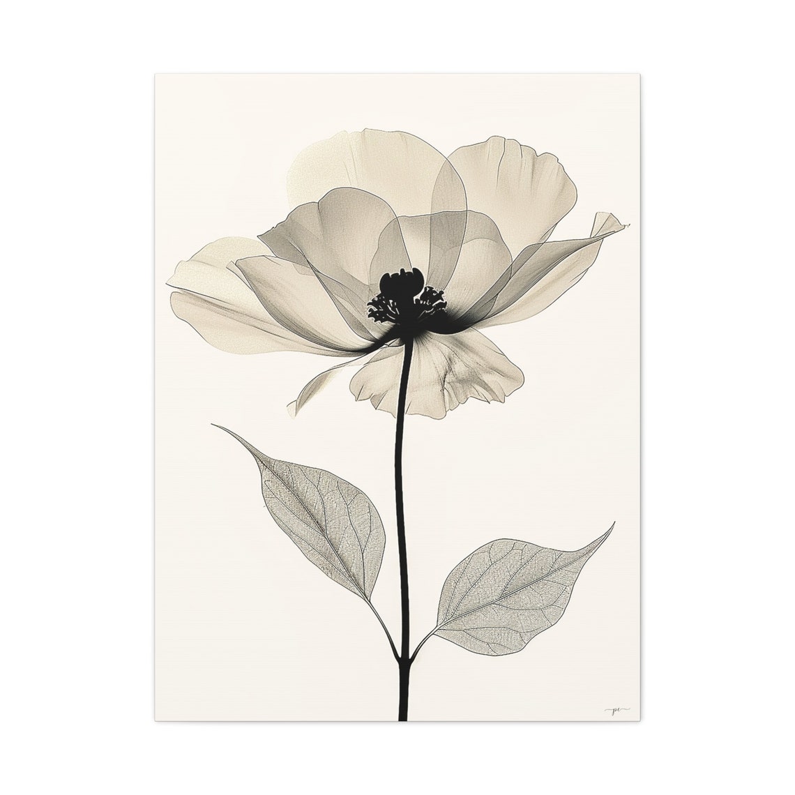 Transparency Canvas - Etsy