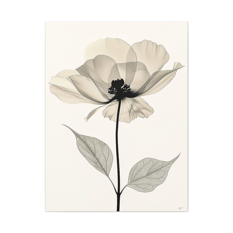 Transparency Canvas - Etsy