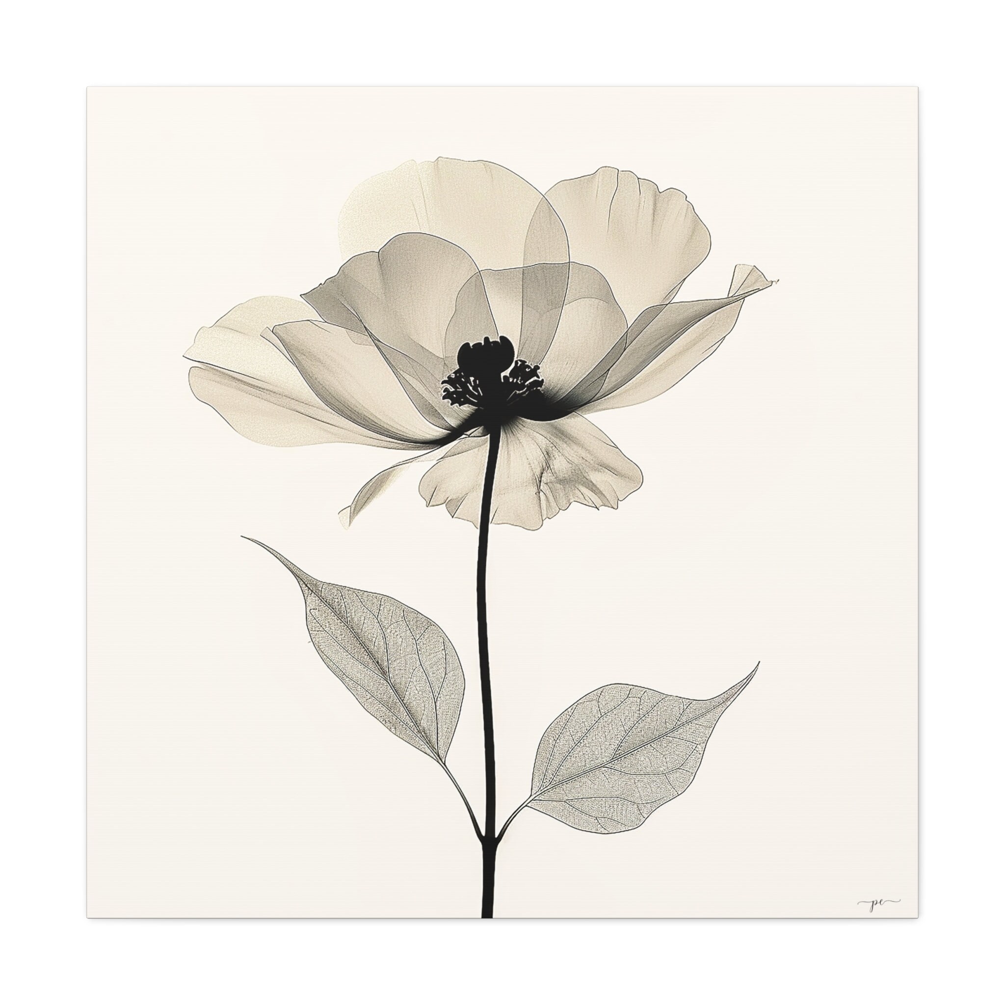 Transparency Canvas - Etsy
