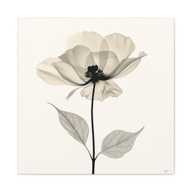 Transparency Canvas - Etsy