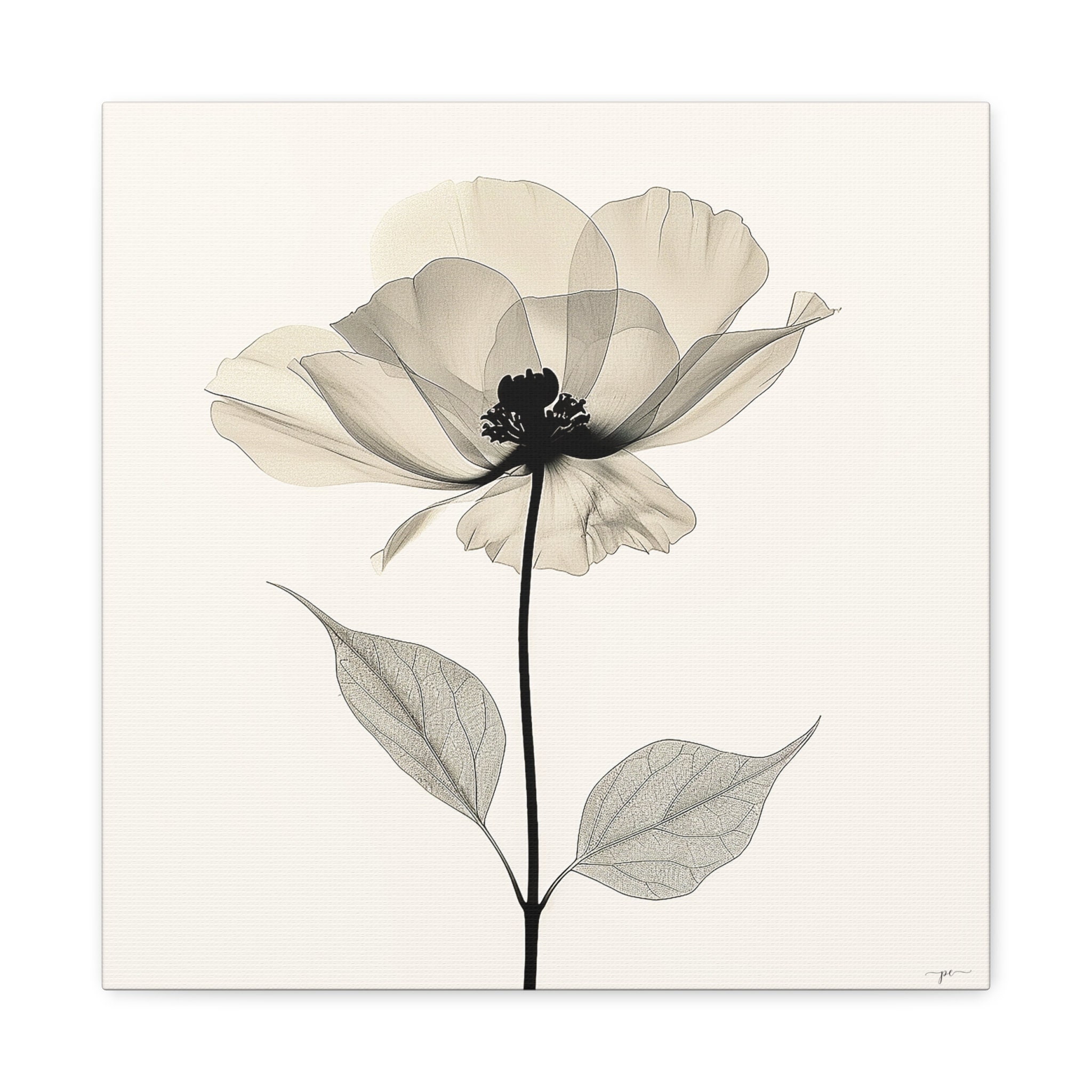 Transparency Canvas - Etsy