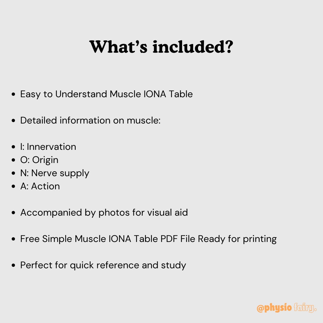Anatomy Muscle Charts | Study Guide | Muscles of the Shoulder and Arm ...