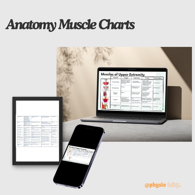 Anatomy Muscle Charts | Study Guide | Muscles of the Shoulder and Arm ...