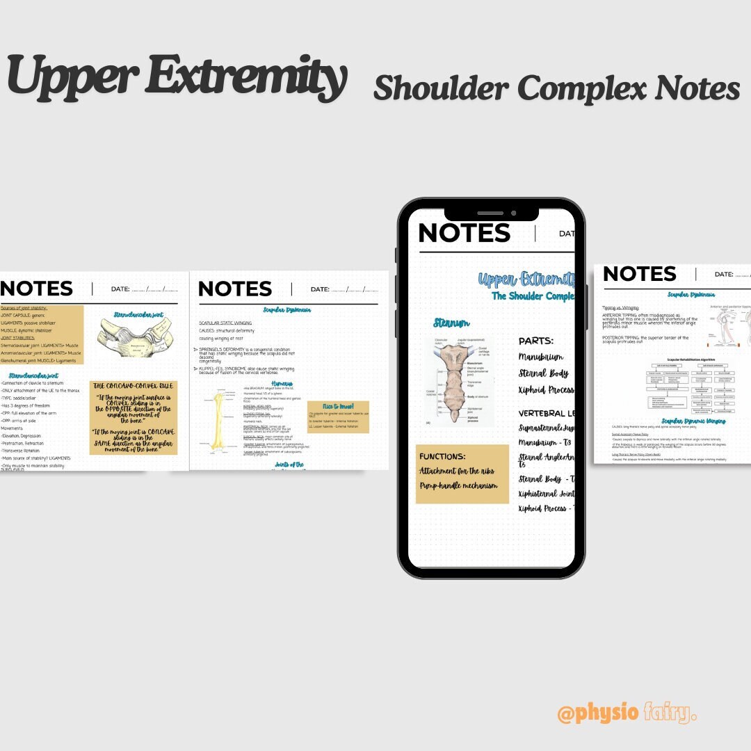 MSK Physio Student Guide, Musculoskeletal Study Guide, Study Sheets for ...