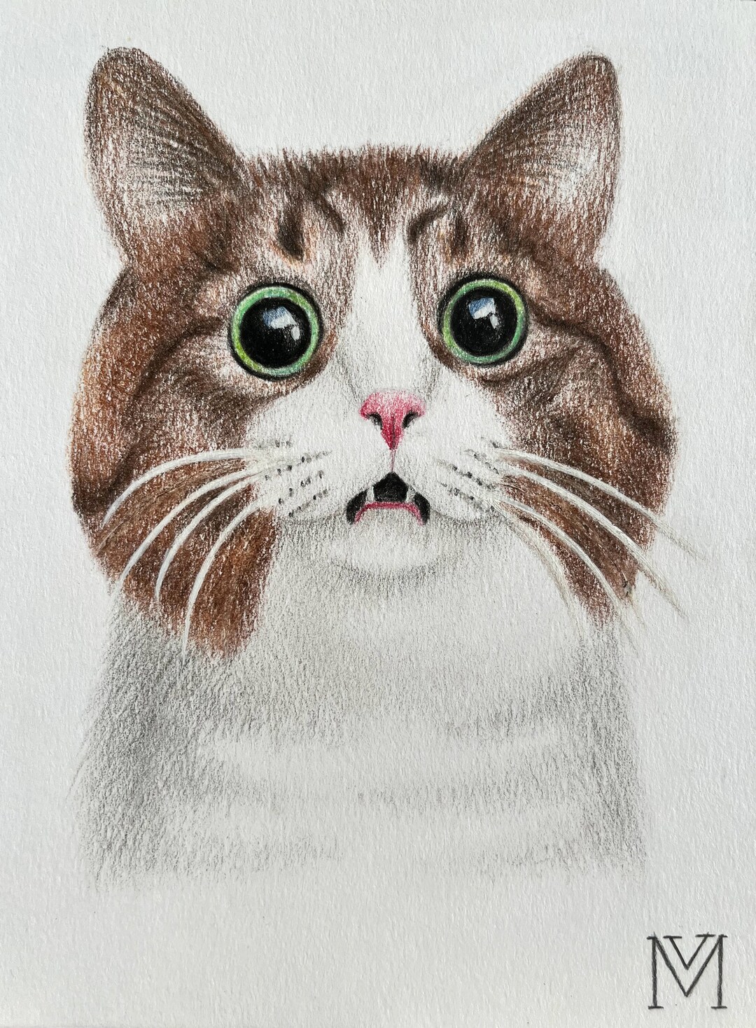 Miniature Cat Drawing Colored Pencils on Paper. - Etsy
