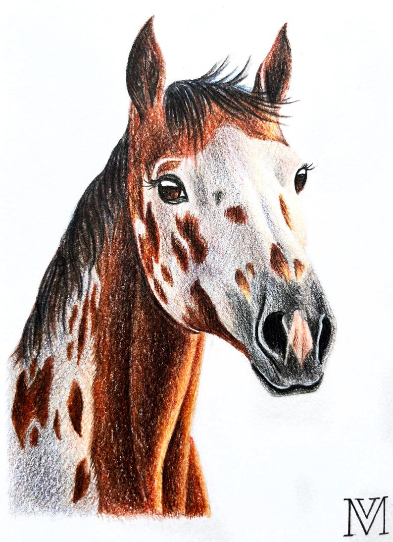 Miniature Horse Drawing Colored Pencils on Paper. - Etsy