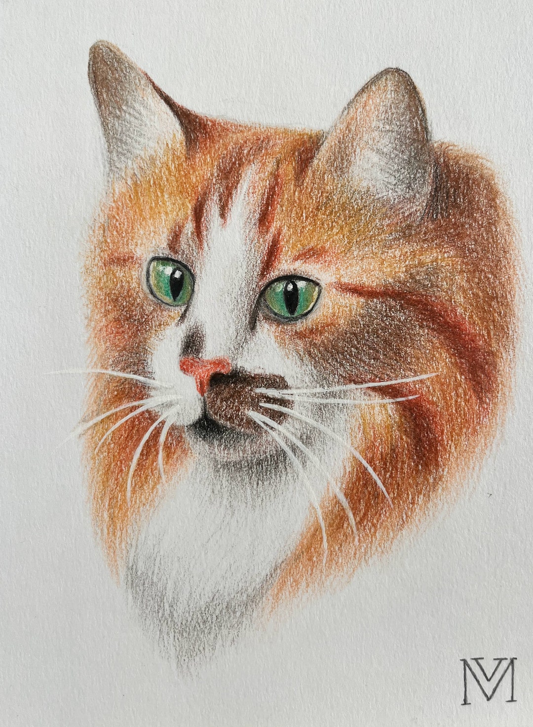 The Drawing of a Cat. Colored Pencils. Paper. - Etsy