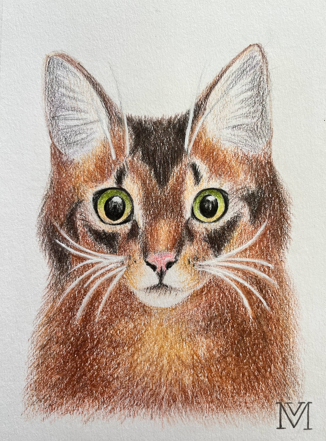 The Drawing of a Cat. Colored Pencils. Paper. - Etsy