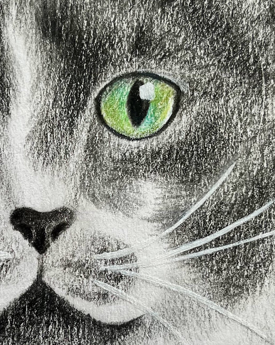 The Drawing of a Cat. Colored Pencils. Paper. - Etsy