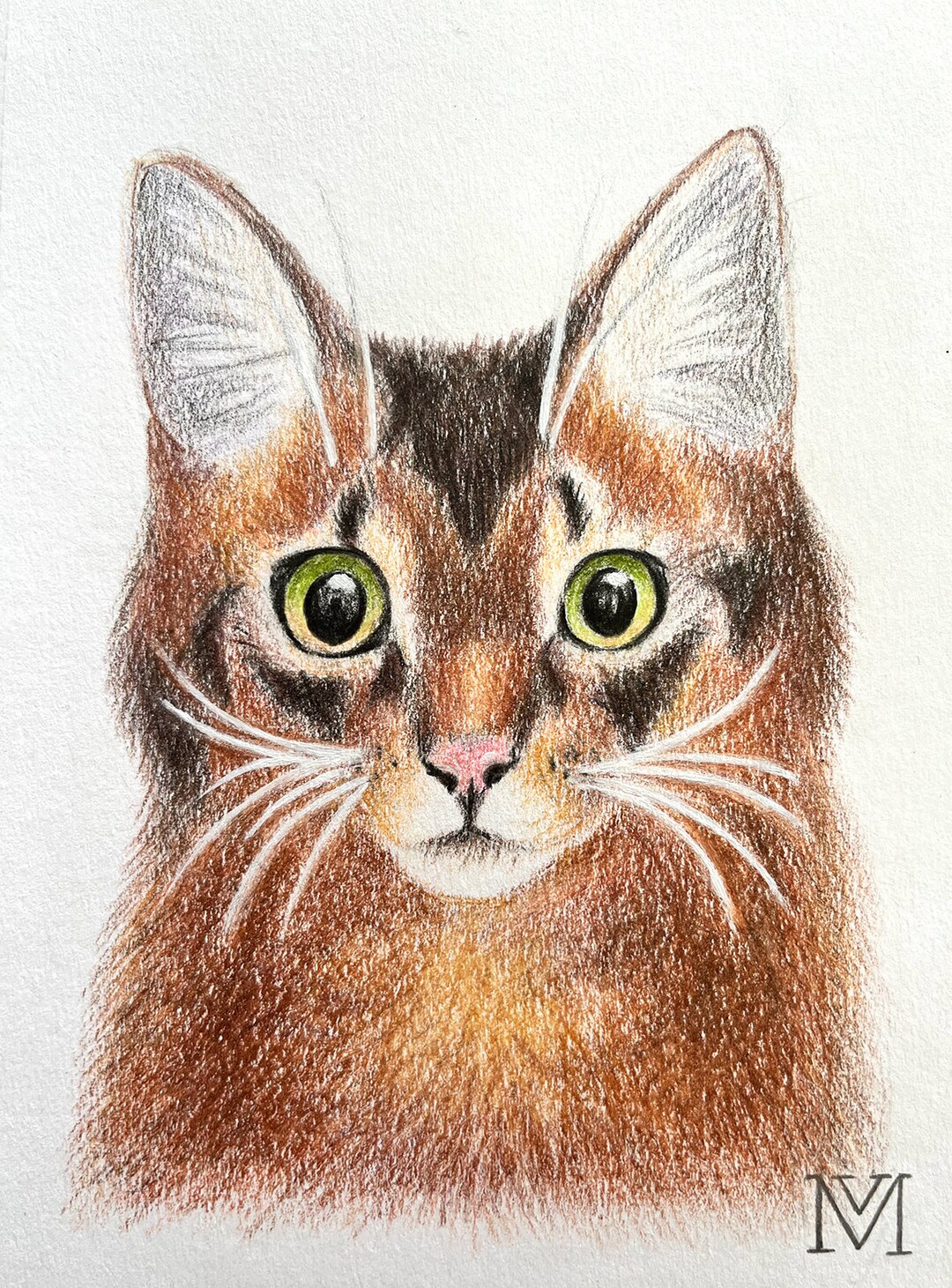 Miniature Cat Drawing Colored Pencils on Paper. - Etsy
