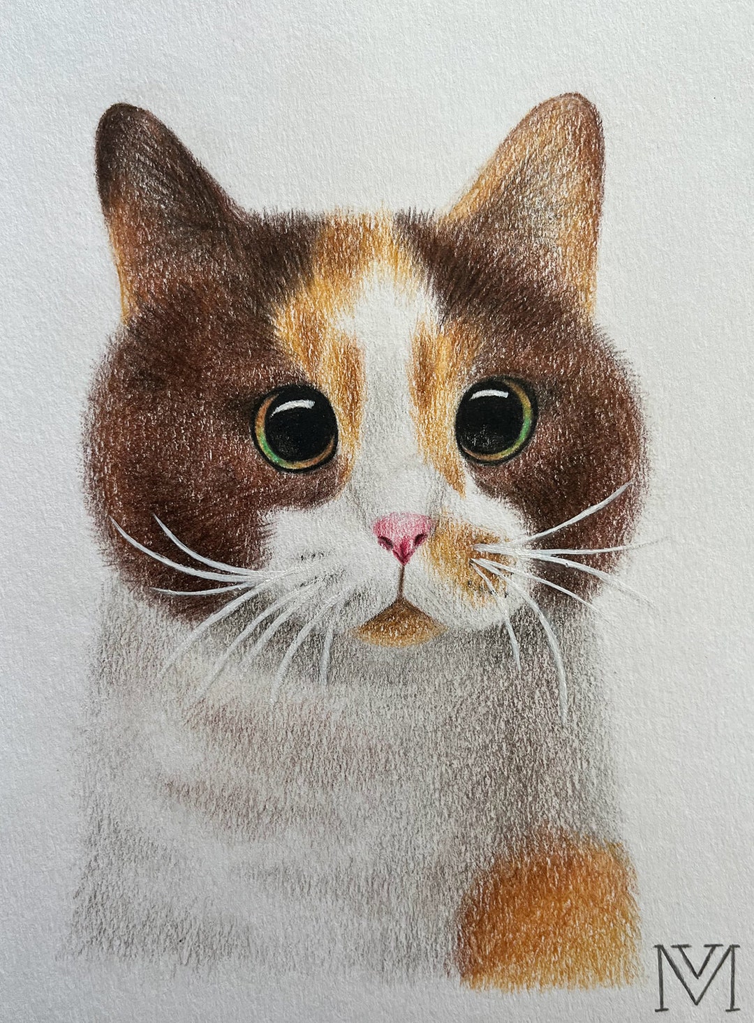 The Drawing of a Cat. Cute Cat. Colored Pencils. Paper. - Etsy